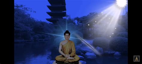 ပါမောက္ခချုပ်ဆရာတော်ကြီး၏ အနှစ်ချုပ်တရားတော်များ