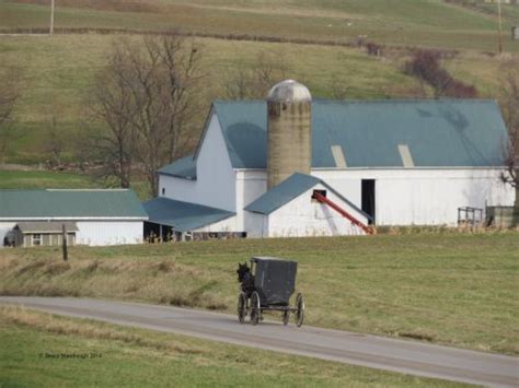 Amish Buggy Rural Road Holmes County Ohio Amish Farm Holmes County