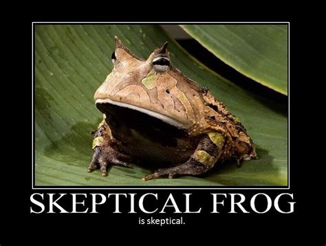 Hypnotoad Irl Futurama