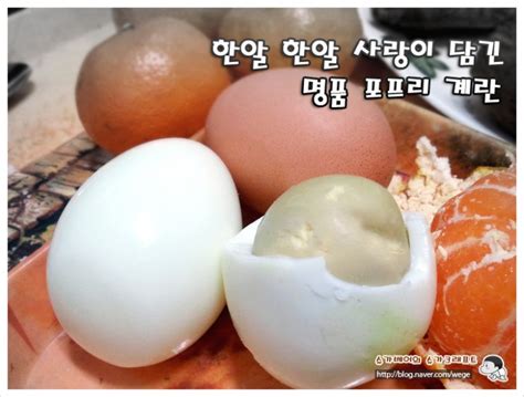 마리암만님 블로그 명품 포프리 계란 체험후기 1 명품계란 포프리 네이버 블로그