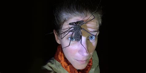 Science Journalist Nadia Drake Is Uw Madison Writer In Residence Uw