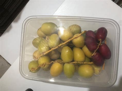 Kurma Muda Dan Khasiatnya Bagi Tubuh Manusia Salingkaluak