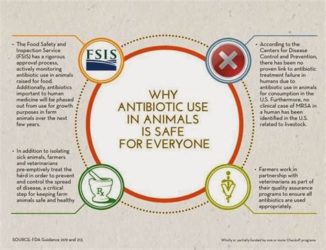 Antibiotics Safe For Cats