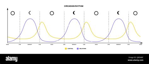 Sleep Wake Cycle Illustration Stock Photo Alamy