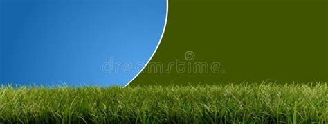 Green Blades Of Grass 3d Illustration Abstract Rounded Background Stock Illustration