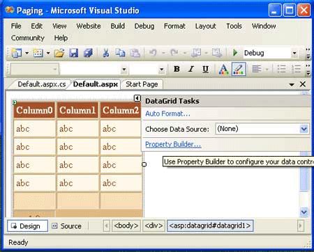 Display Records In Datagrid Using Paging