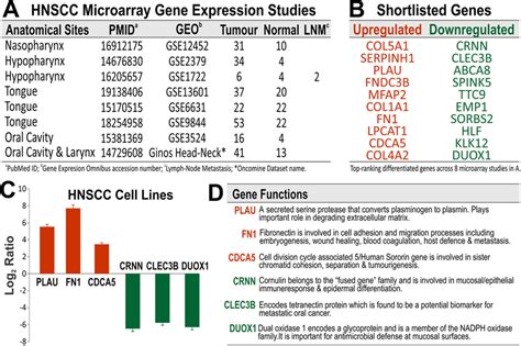 Bioinformatics Meta Analysis Of 8 Independent Microarray Studies On