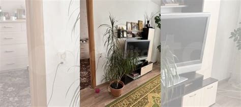Комнатные цветы купить в Хабаровске | Товары для дома и дачи | Авито