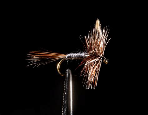 Dry Fly Assortment The Catch And The Hatch