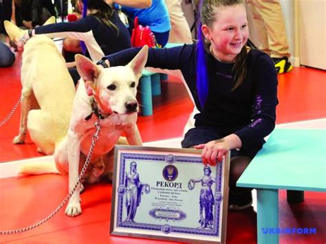 Україна має рекорд Найвищі вуха які стирчать у собаки Читайте на Ukr Net