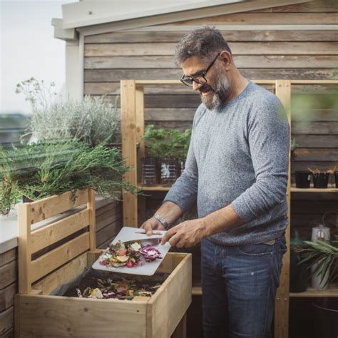 Tips And Information About Composting Basics Gardening Know How