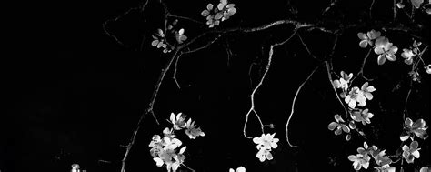 гроб вая тишина 自由になる♟️ 2026 ВКонтакте