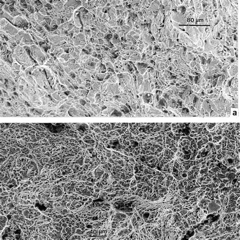 3d Om Composition Showing Columnar Grain Structure For Ebmfabricated