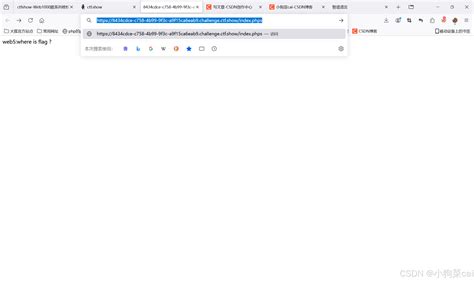 Ctfshow Web入门 信息搜集(5ctfshow Web5 Csdn博客 Ctfshow Web入门 信息搜集(5ctfshow Web5 Csdn博客