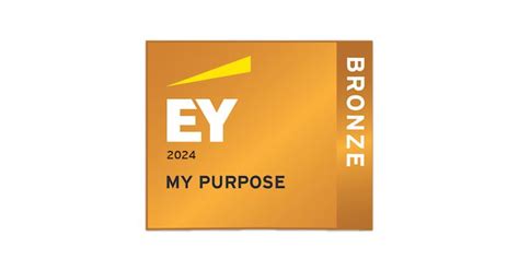 Sosuke Sakaguchi On Linkedin Ey My Purpose Bronze 2024 Was Issued By Ey To Sosuke Sakaguchi