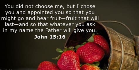 John 15 16 You Did Not Choose Me But I Chose You Listen To