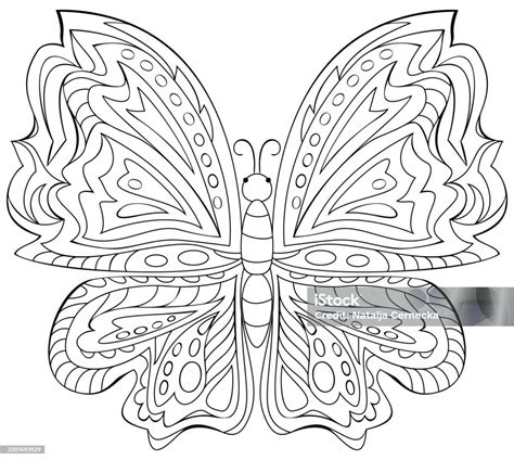 색칠을 위한 나비의 흑백 그림 아이들의 그림 그리기 기술 개발 벡터 이미지입니다 0명에 대한 스톡 벡터 아트 및 기타 이미지 0명 개발 검은색 Istock