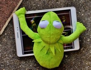 Kermit The Frog Plush Toy Free Image Peakpx