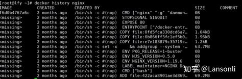 【云原生 docker篇】网络和存储原理（四） 知乎