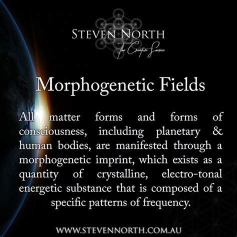 Pin By Elizabeth Blackwell On Quantum Consciousness Morphogenetic