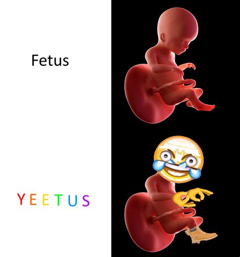Fetus Deletus R Dankmemes