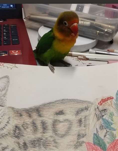 今月描かせて頂いた絵v 精進あるのみ
