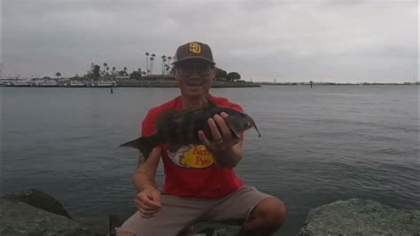 San Diego Spotted Bay Bass Fishing Youtube