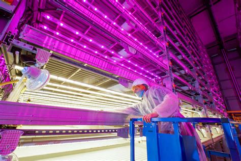 Pioneering Innovations In Vertical Farming Fischer Farms