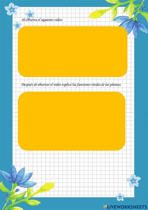 Las Plantas Online Exercise For Tercero De Primaria Live Worksheets