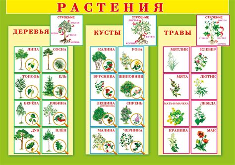 Плакаты по темам для детского сада (50 фото)