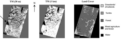 Modis Snow Ice Global Mapping Project