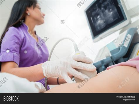 Ultrasound Scanner Image And Photo Free Trial Bigstock