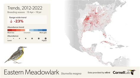 Trends Maps Ebird