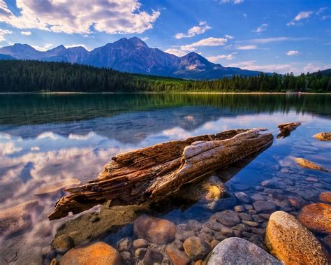 Summer Scenery Wallpapers Wallpapersafari