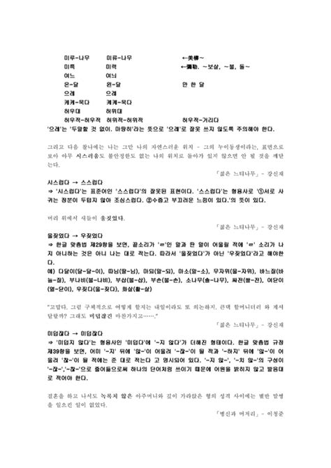 국어의 어문규범 일상 속의 한글 맞춤법 인문교육