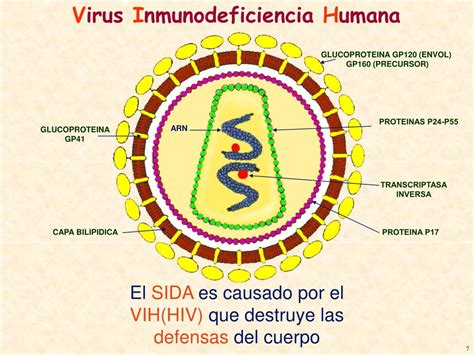 Ppt Coprecos Comite De Prevencion Y Control Del Vih Sida Fuerzas Armadasy Policia Nacional Del