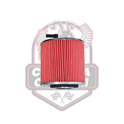 Filtro De Ar De Alta Performance Shineray Custom Xy 250 Casa Da