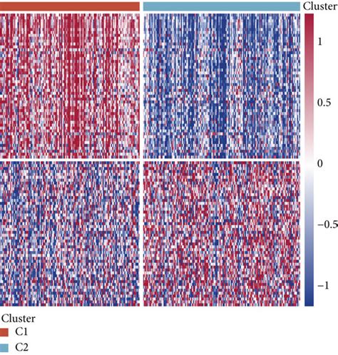 Degs And Their Functions Between Two Molecular Subtypes A