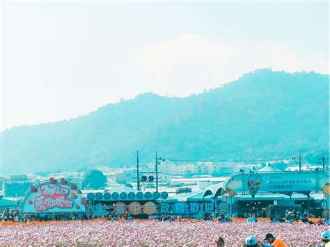 【新社花海】2023台中最大花海圖組，展出資訊！交通接駁車地點、自行開車方式 吃貨瑪莉