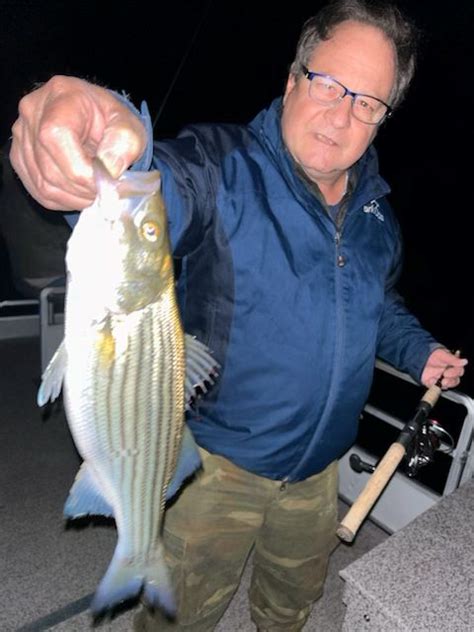 Striped Bass Fishing In Pennsylvania Reservoirs Mike Salamon Guide