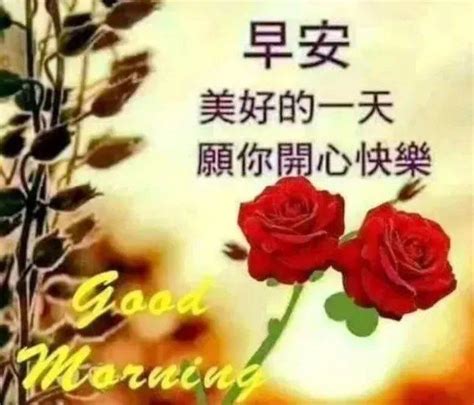 知心朋友似美酒感情越久越醇厚 祝福 异地 人生