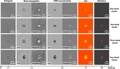 Figure 3 From Deep Learning Enables High Throughput Analysis Of