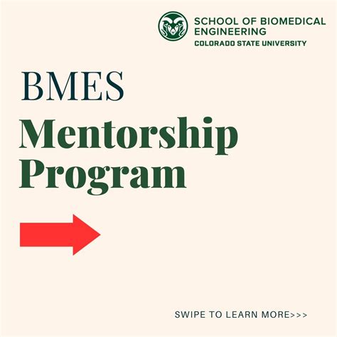 Csu Biomedical Engineering Society Bmes On Linkedin New Bmes