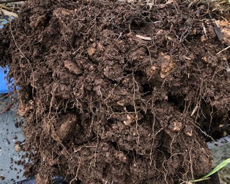 Soil Nitrogen Tests Hill Court Farm Research