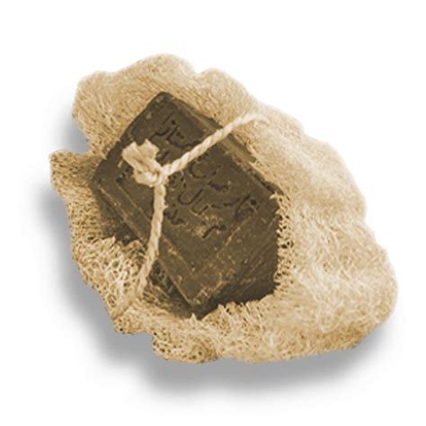 Quest Ce Quune éponge De Luffa Bienfaits Utilisations Et Durabili Iberluffa The Plastic