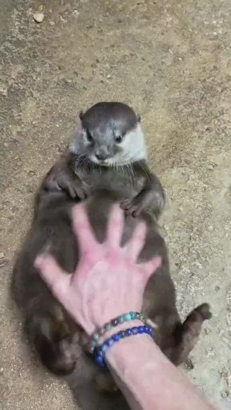 Reblog This Immediately Tumbex