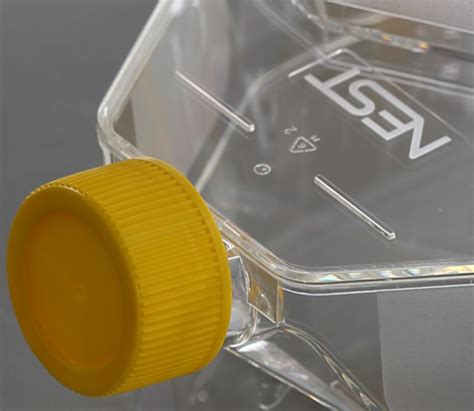 T225 현탁 세포용 세포 배양 플라스크 의 고품질 T225 현탁 세포용 세포 배양 플라스크