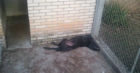 Bae Caught Me Sleepin Imgur