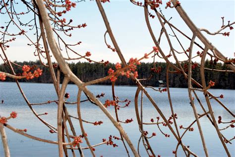 Amanda Markell Photography