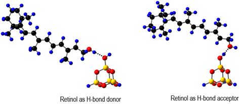 The Endless World Of Carotenoids—structural Chemical And Biological